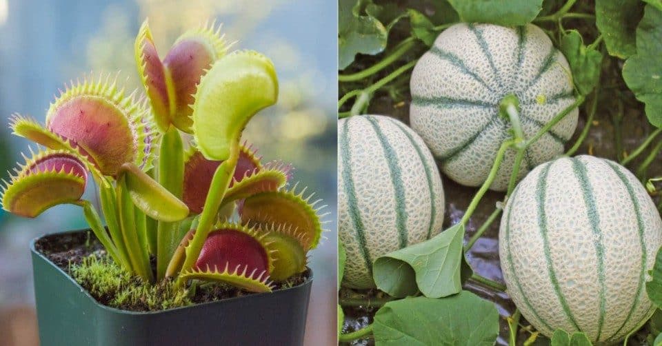 Blog - Garden Buildings Direct