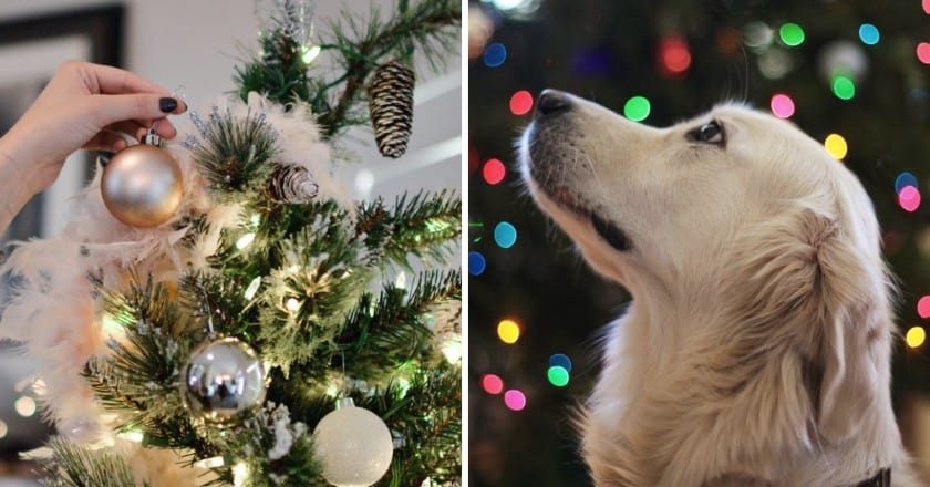 Blog - Garden Buildings Direct