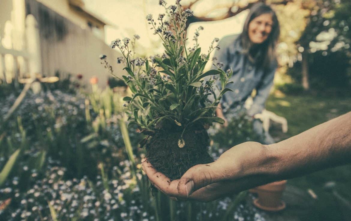 12 Reasons why Gardening is good for you | galinghill